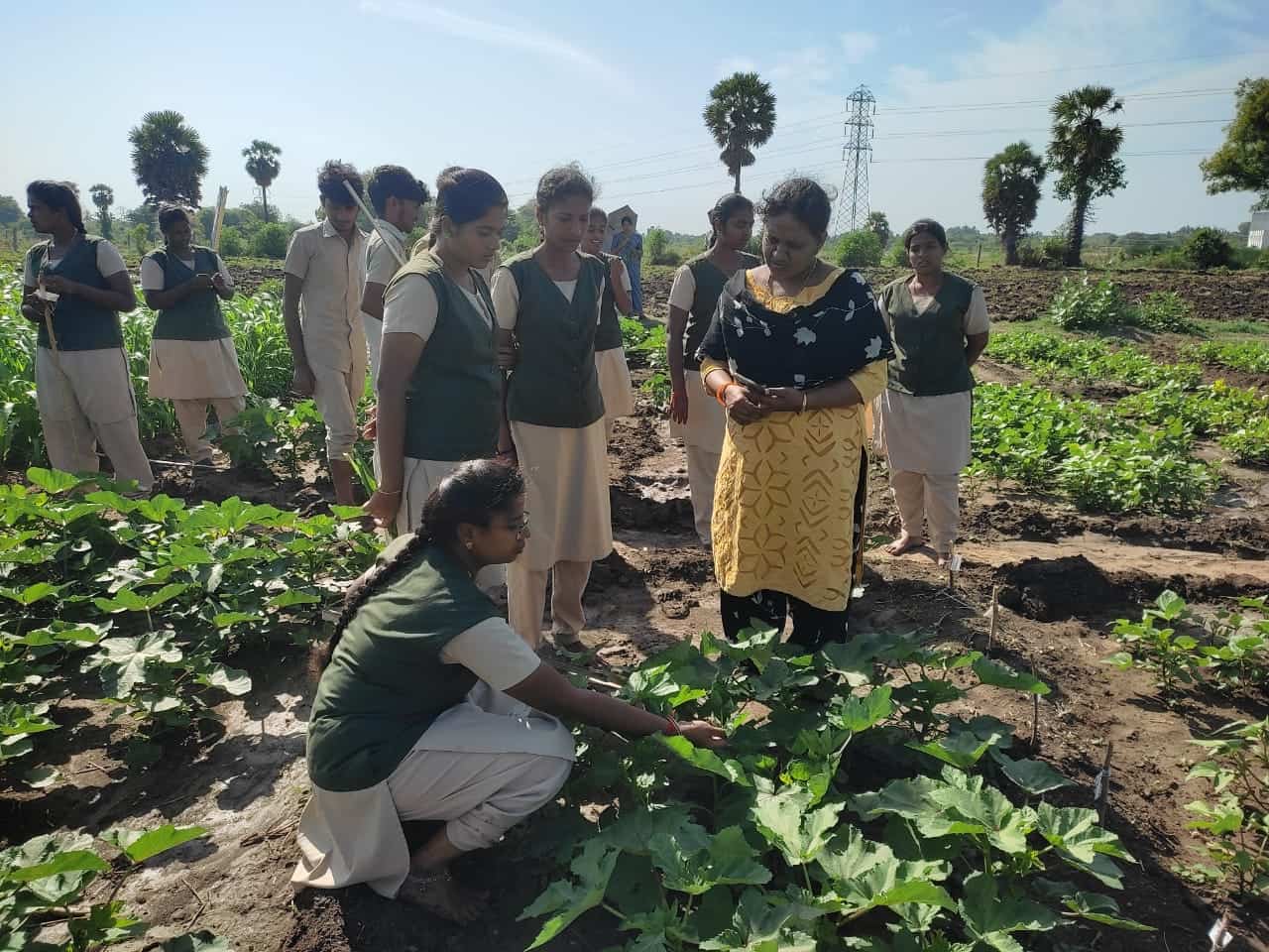 JSA College of Agriculture and Technology