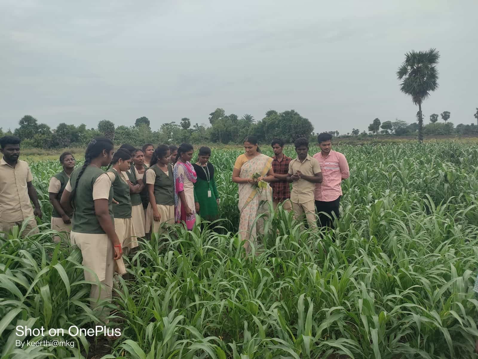 Jsa College Of Agriculture And Technology