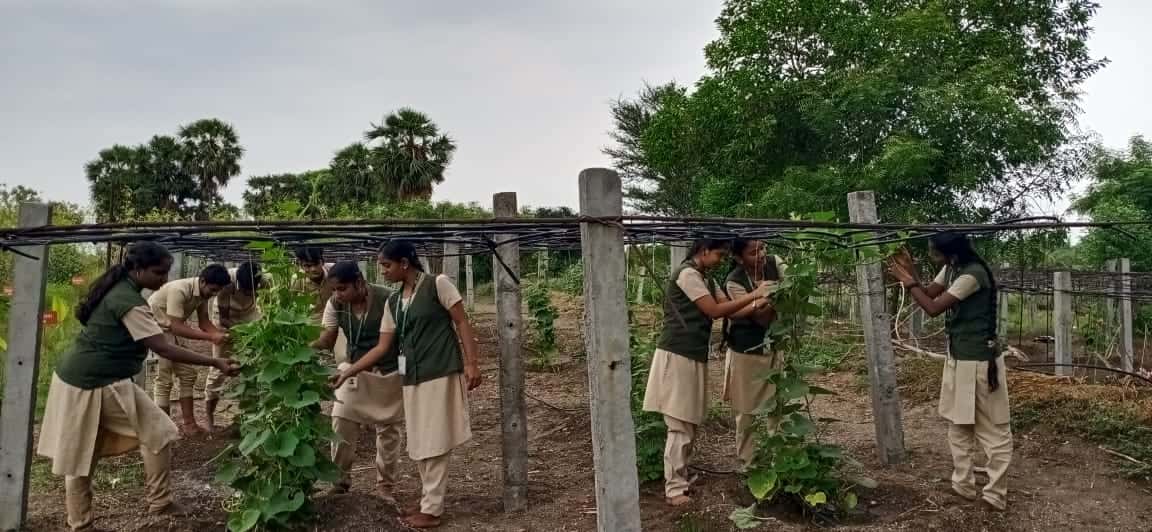 JSA College of Agriculture and Technology