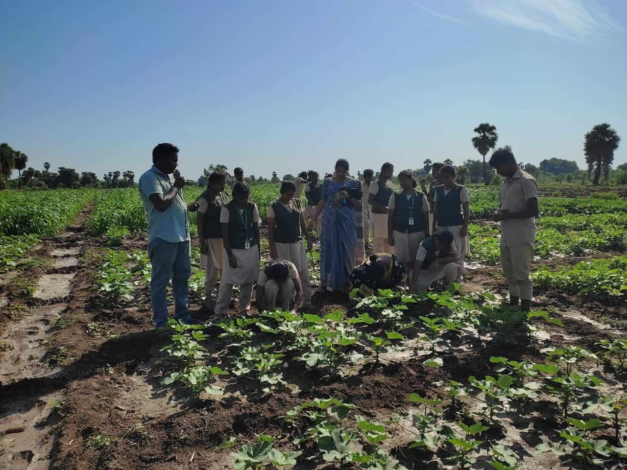 Jsa College Of Agriculture And Technology