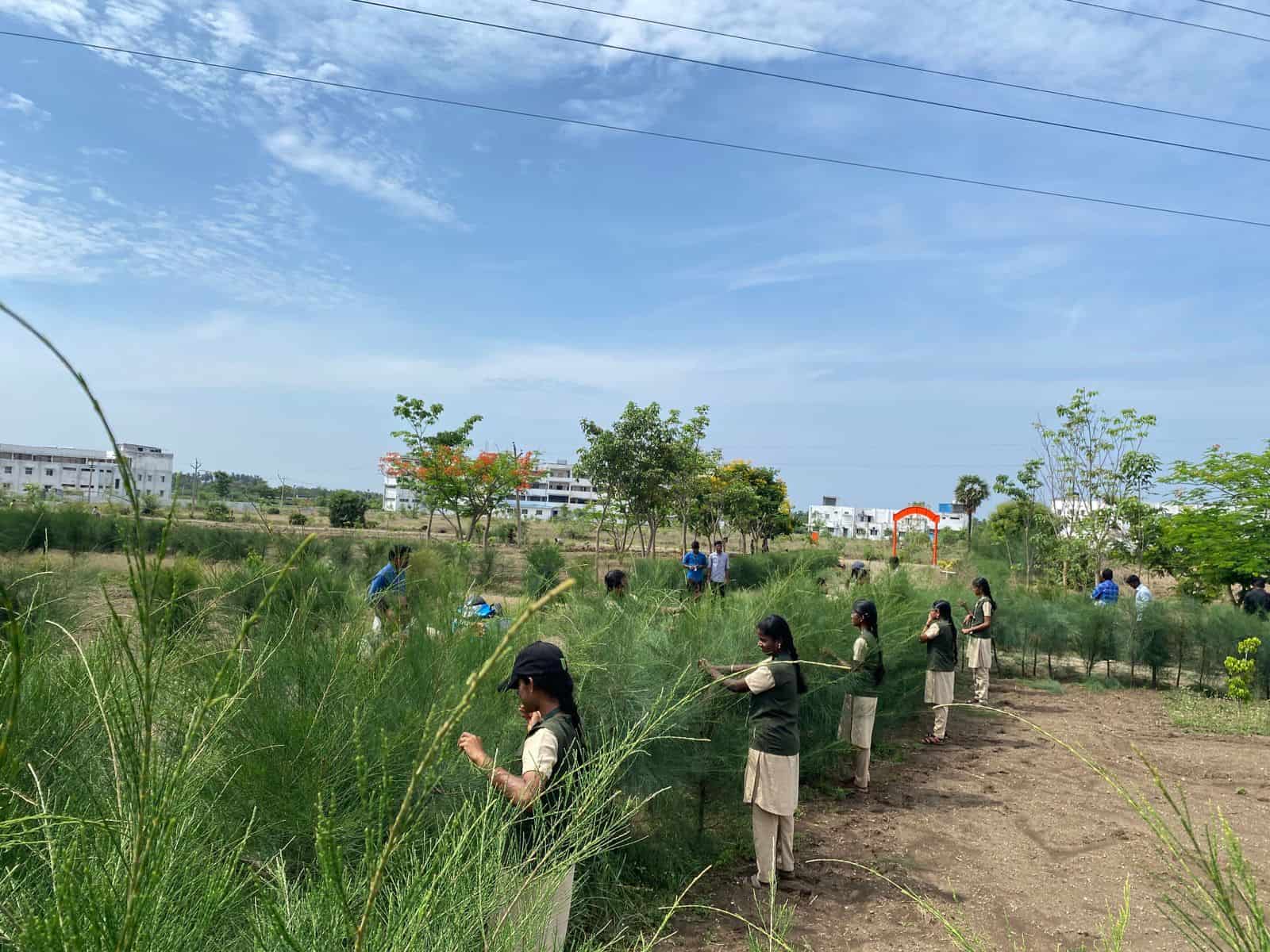 JSA College of Agriculture and Technology