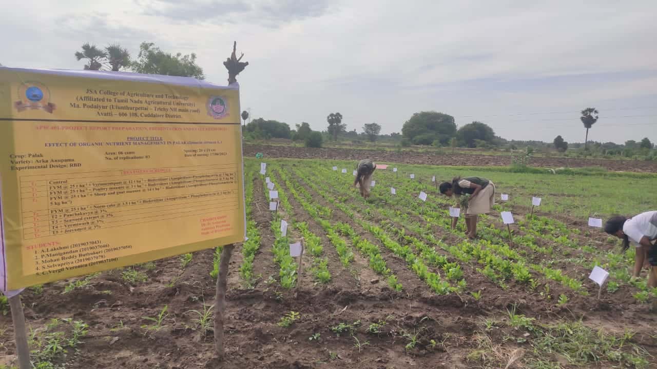 Jsa College Of Agriculture And Technology